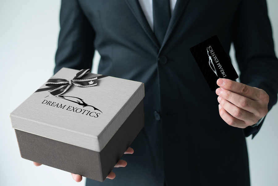 About Us | Dream Exotics